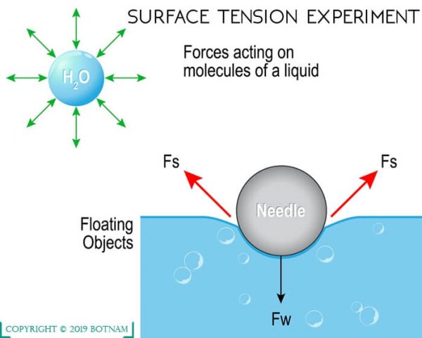 Structure Of Water Molecule | Properties Of Water (2025)
